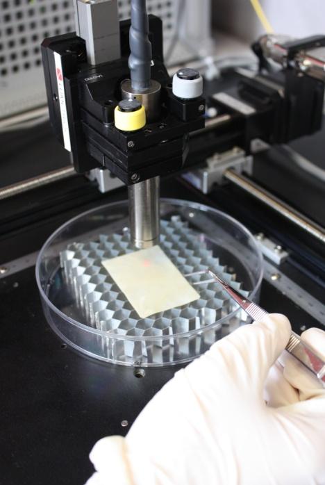 Product Watch: Automated X/Y Tissue Scanner